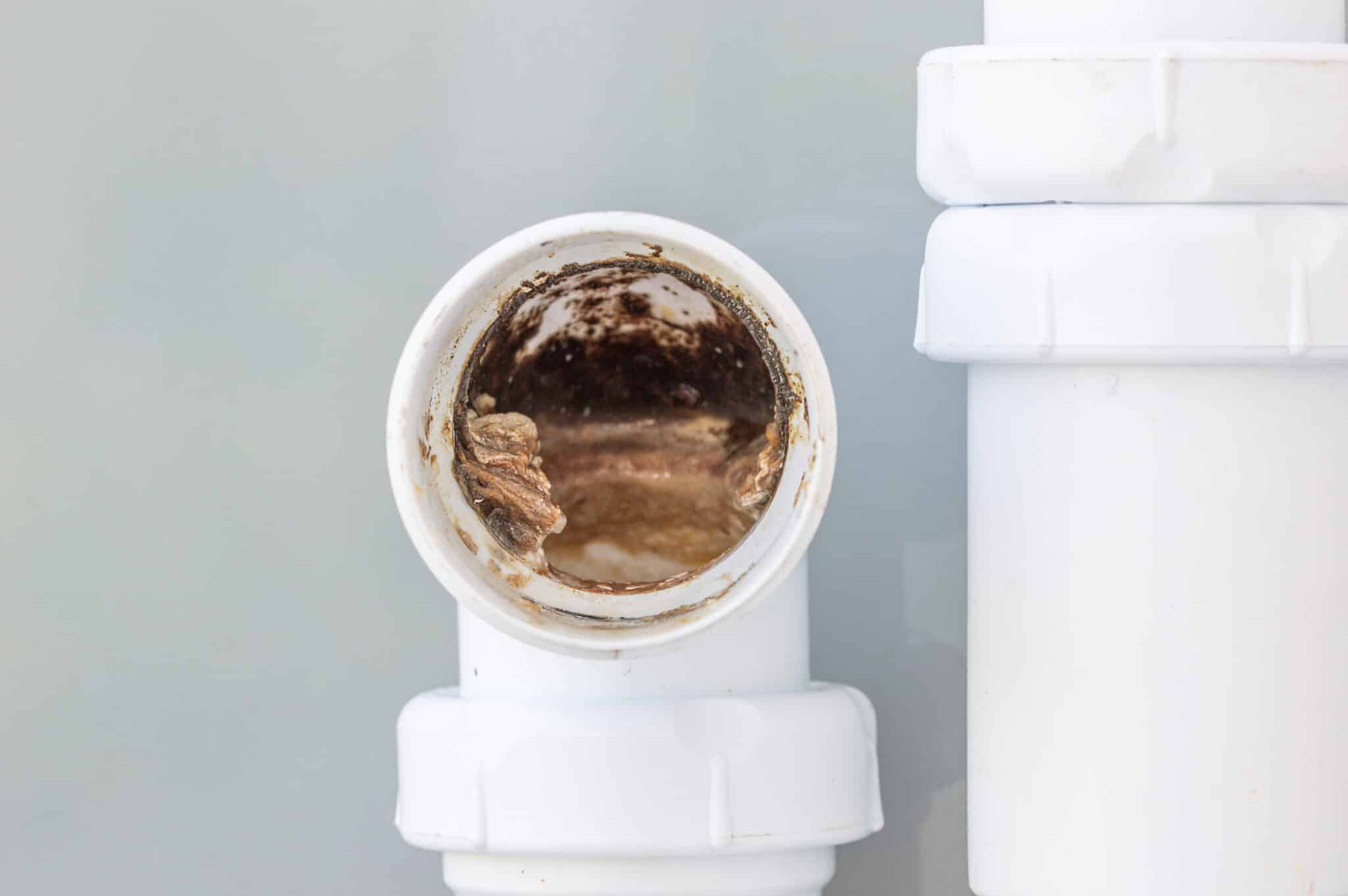 Common Causes of Sewer Line Blockages Explained - Punctual Plumber Dallas