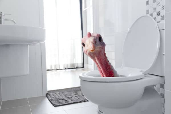 The Most Dramatic Plumbing Disasters part 2 - Punctual Plumber Dallas